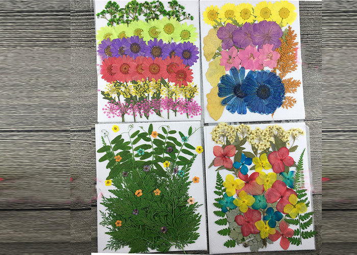 Home Decoration Dried Floral Bouquet , Plant Specimens Dried Wildflower Bouquet