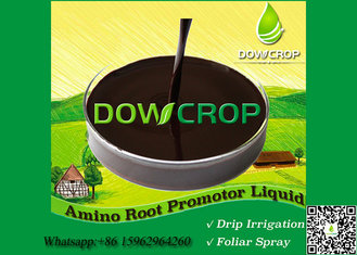 China AMINO ACID ROOT PROMOTOR FUCTIONAL LIQUID FERTILIZER supplier