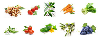 China DOWCROP    HOT   SALE  100%    WATER   SOLUBLE    AMINO   ACID   CHELATED   CALCIUM     MILK    YELLOW     POWDER supplier