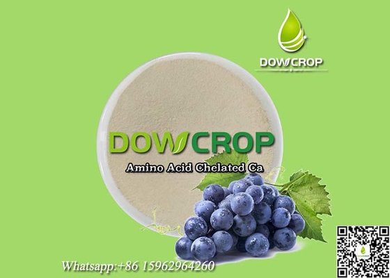 DOWCROP    HOT   SALE  100%    WATER   SOLUBLE    AMINO   ACID   CHELATED   CALCIUM     MILK    YELLOW     POWDER supplier