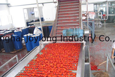 Installation de fabrication de jus de fruit d'orange et de mangue pour le verre 500-1000ml mis en bouteille