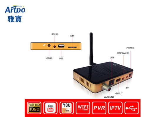 Africa FTA Q SAT Q23g DVB-S Satellite Receiver Support 1080 HD 2 USB.20 Port H.246 / MPEG4