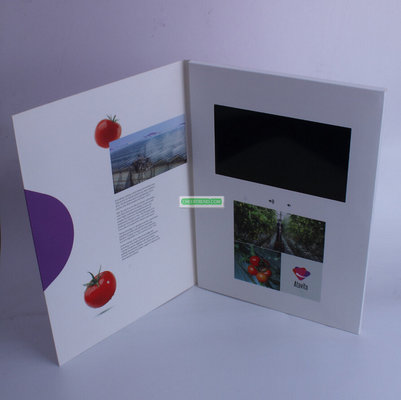 China best factory supply 7 inch LCD video brochure,video book,video greeting card with 512Mb memory