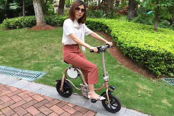 12  Inch Lithium Battery Powered Mini Electric Bicycle With Portable Collapsible Frame
