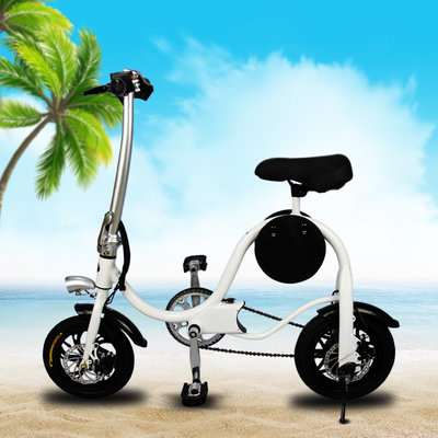 12 Inchs 36V Adult Folding Electric Bike Brushless Motor With Power Assisted System