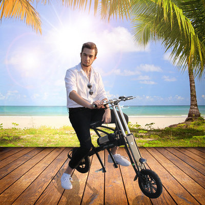 High Speed Electric City Bike Aluminum Alloy 7.8AH Lithium Battery Multi - Color Choice