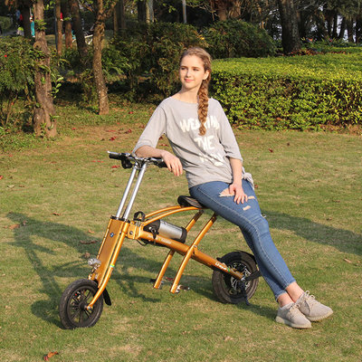 250W Folding Electric Bike / Bicycle 12 Inch 36V With CE / EN15194 Certification