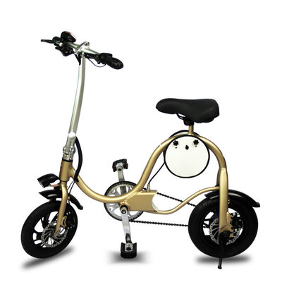 Folding Smart Electric Bike 12 Inch 36V 250 Watt Removable Lithium Battery