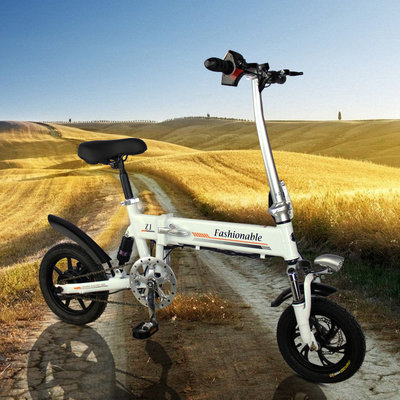 Lightweight Hybrid Foldable Electric Bike Aluminium Alloy Body 250W 14 Inches
