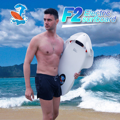 Adult Seaside Electric Powered Wakeboard 3200 W 36 V 12 AH Removable Lithium Battery