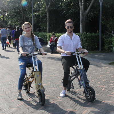 Waterproof IP54 Folding Electric Bike Portable 7.8 AH Battery 3-5hrs Charging Time