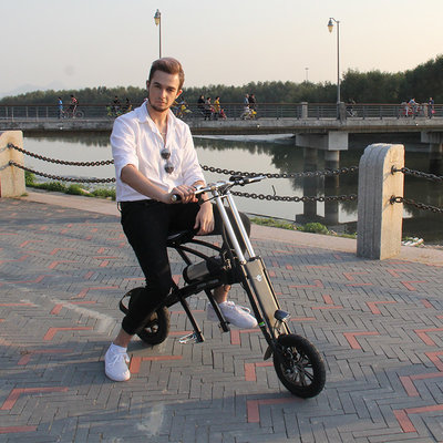 Adjustable Height Electric Bike Lightweight , 12 Inches Electric Fold Up Bike 250 W