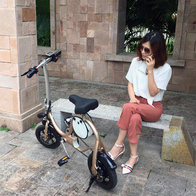 Removable Lithium Folding Electric Bike 12 Inches Wheels 7.8 AH Portable