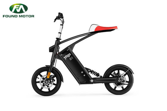 Stigo Folding Electric Scooter