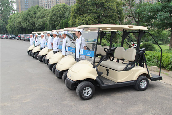 High Speed Electric Motor 2 Seater Golf Carts , Two Seat Golf Cart Utility Vehicle
