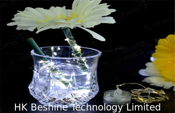 Color Changing 2m Led String Light Waterproof  For Christmas Decoration