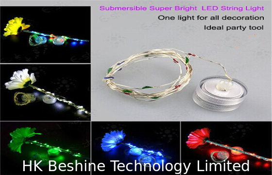 Color Changing 2m Led String Light Waterproof  For Christmas Decoration