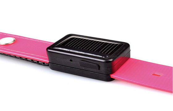 Durable Solar Pink Led Pet Collar USB Safety Lighted Dog Collars Glowing In Dark