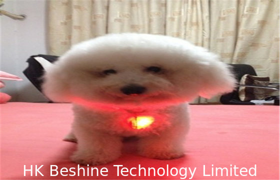 Comfortable Pink LED Flashing Pet Collar Safety Necklace / Light Up Collars For Dogs