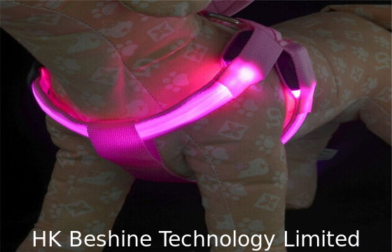 Nylon Fabric Flashing Dog Led Pet Collar Cat Lighted Leashes