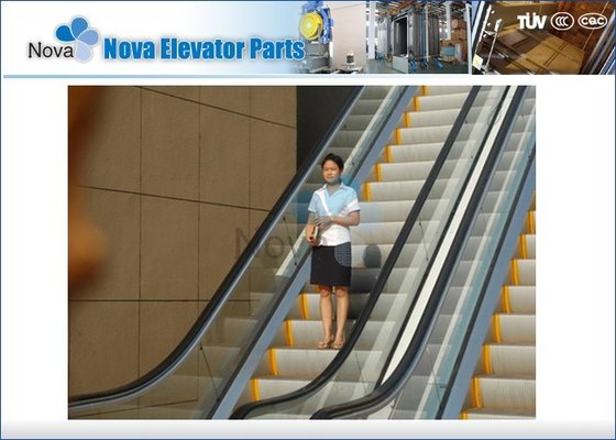 800MM Automatic Elevators Components , 30 Degree Electric Mechanical Escalator