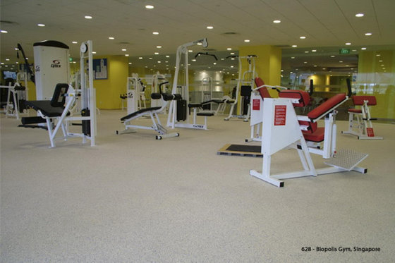 Professional Anti Vibration Rubber Matting Rolls Rubber Gym Mat Customized