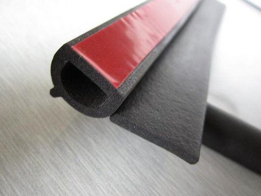 window and door seal