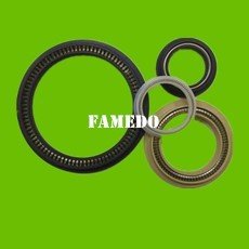 PTFE spring Energized seals