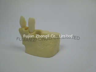 China Sinus Lift Practice Model supplier