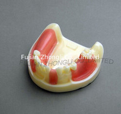 China Implants Drilling Bone Grafting Gum Suturing Techniques Training supplier