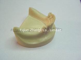 China Drilling Practice Model supplier