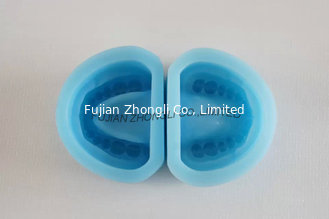China Plaster Jaw Model supplier