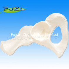 China Human Hip Bone model, left supplier
