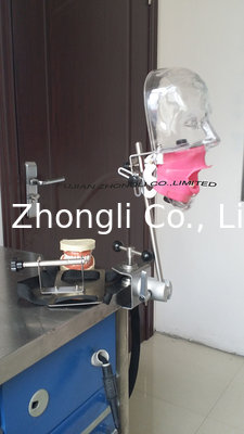 Dental simple Training Simulator Manikin,dental training head simulator,dental manikin supplier