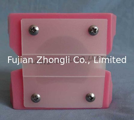 Orthodontic Teeth Model supplier
