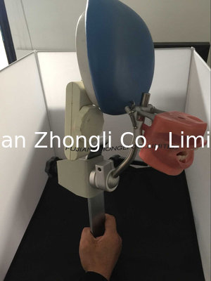 Dental teaching Manikin head simulator / Phantom head pratical training supplier