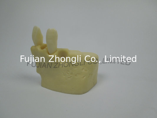Sinus Lift Practice Model supplier