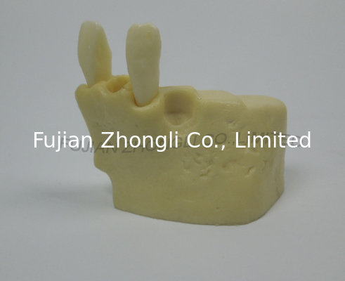 Sinus Lift Practice Model supplier