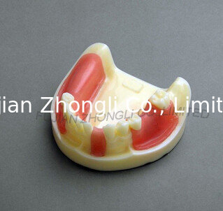 Implants Drilling Bone Grafting Gum Suturing Techniques Training supplier