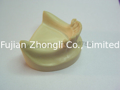 Drilling Practice Model supplier