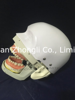 Top Quality Dental Manikin Head with Torso for Dental Chair supplier