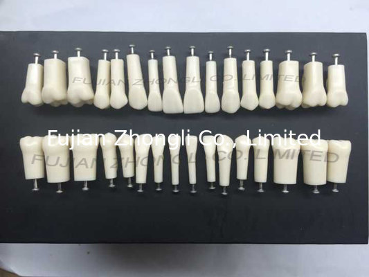 Top Quality Dental Manikin Head with Torso for Dental Chair supplier