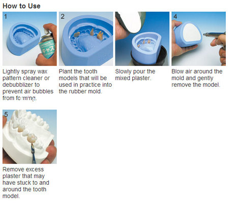 Cheap Durable Dental Plaster Model Mold for Dentist supplier