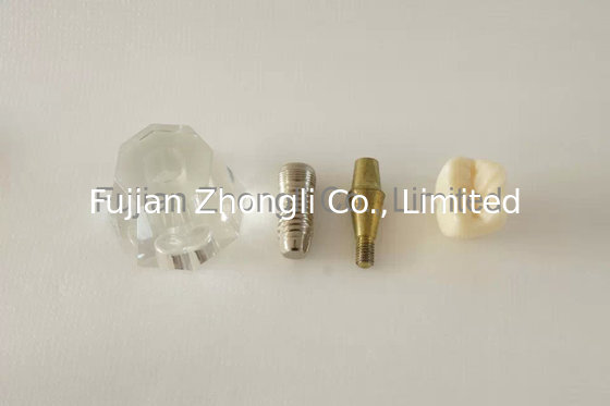 dental implant demonstration model of 5 parts supplier