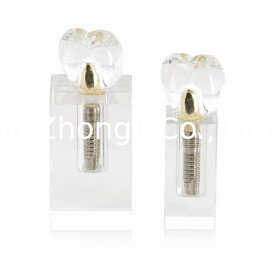 dental implant crystal model of 3 parts supplier