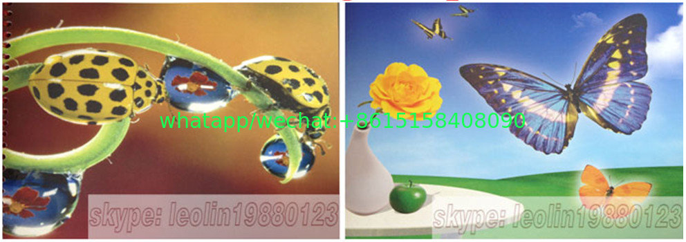 LC4060/6080/6090 Flat Bed Microcomputer t shirt screen printing machine plane paper，plastic, glass ceramics