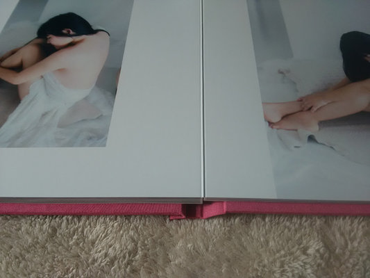 El álbum de foto rasante del compromiso de Digitaces del soporte 11 x 8 cubre la tela, mancha resistente