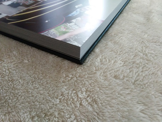 Memorias privadas de la familia que se casan el álbum de foto 10 x 10 con las páginas internas de 0.5m m