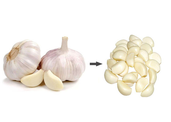 Stainless Steel Dry Garlic Peeling Machine ST-150 Automatic Garlic Peeling Machine