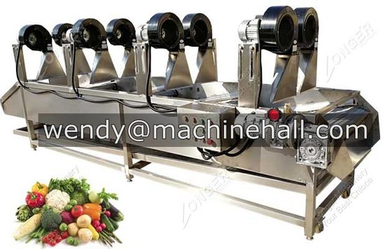 fruit vegetable air drying machine with best price in china manufacturer